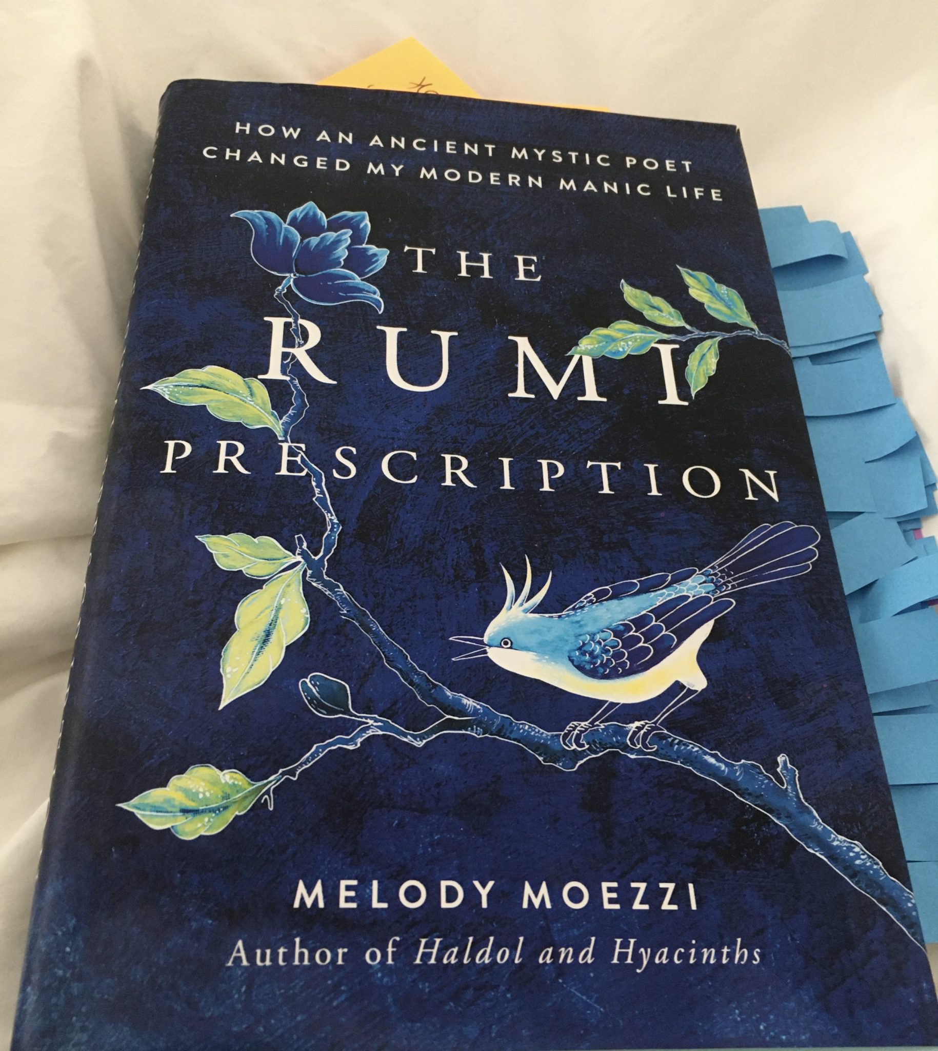 THE RUMI PRESCRIPTION by Melody Moezzi - Barbara Claypole White
